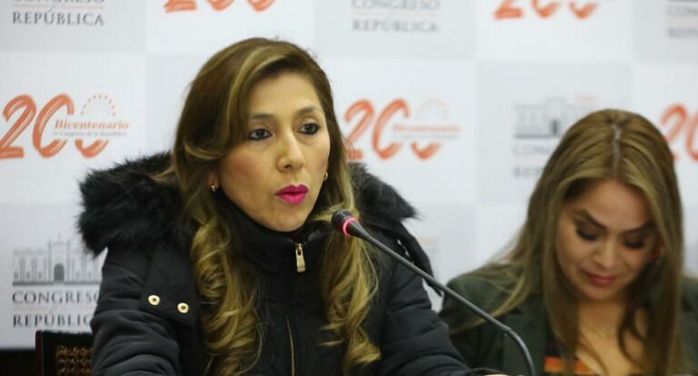 Subcommission will report on the constitutional complaint against Pedro ...