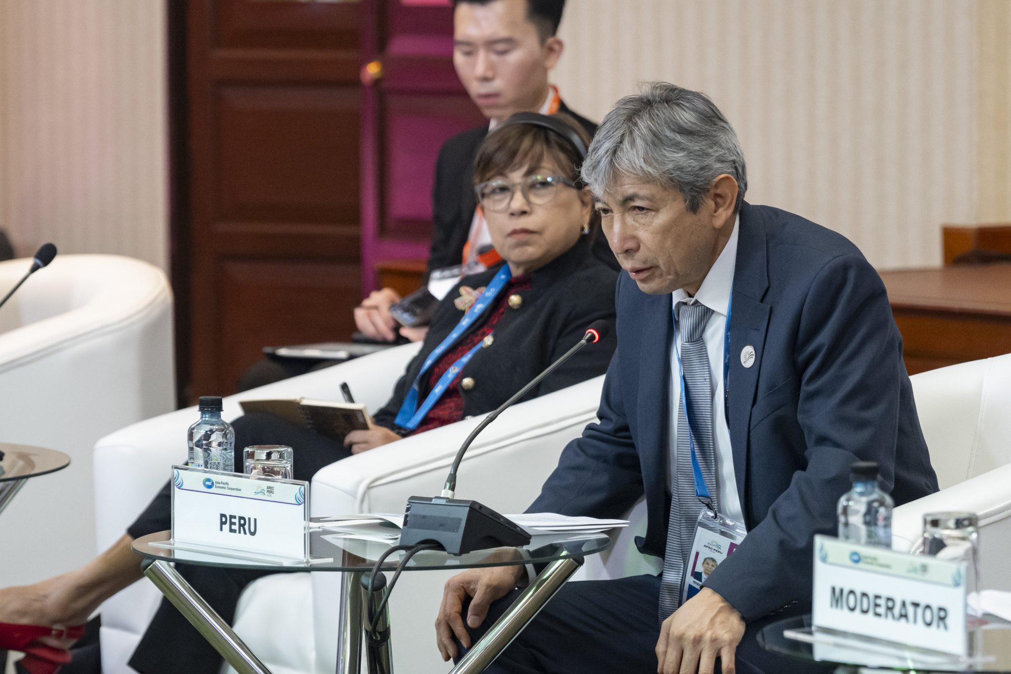 APEC PERU 2024: meeting of finance ministers and related events begins ...