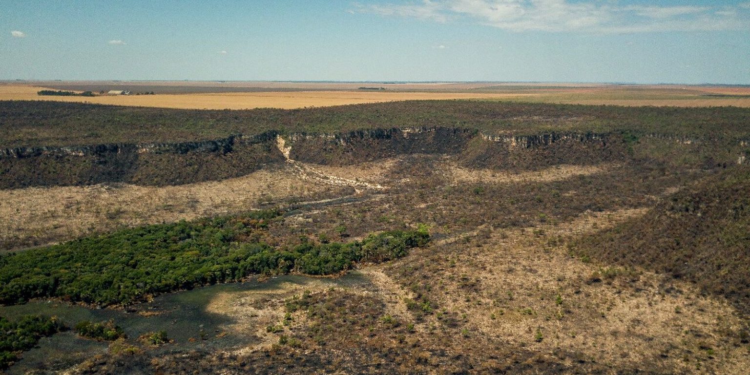After five years of increase, deforestation in the Cerrado has fallen ...