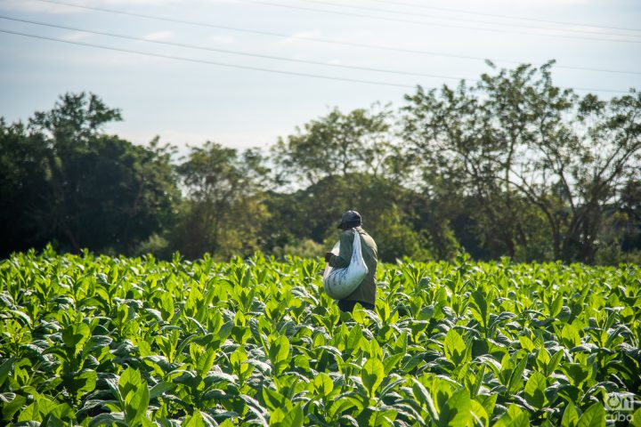 European Union launches new call to finance agri-food initiatives in ...