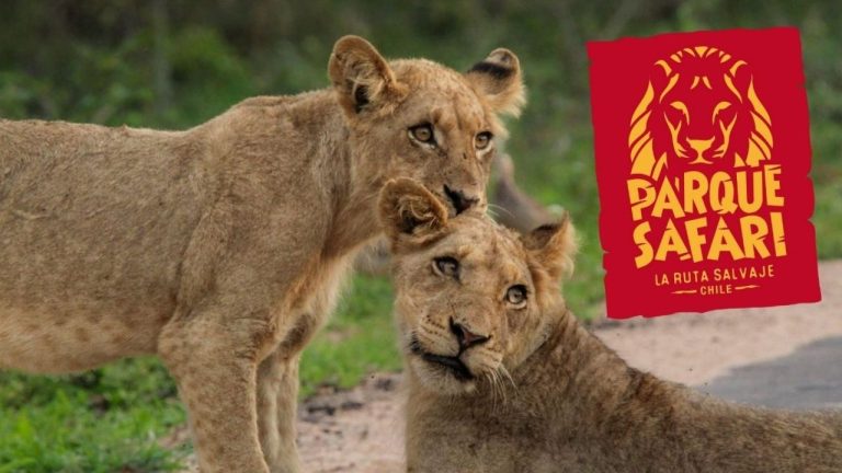 How much does it cost to enter the Safari Park and how can you get ...