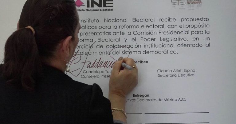 National and foreign organizations present 7 minimum keys for Electoral ...