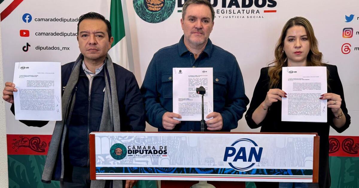 The PAN begins a legal strategy against those responsible for the ...