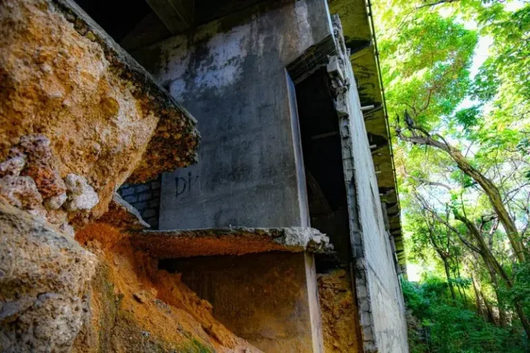 What the authorities say about the state of the Duarte bridge after ...